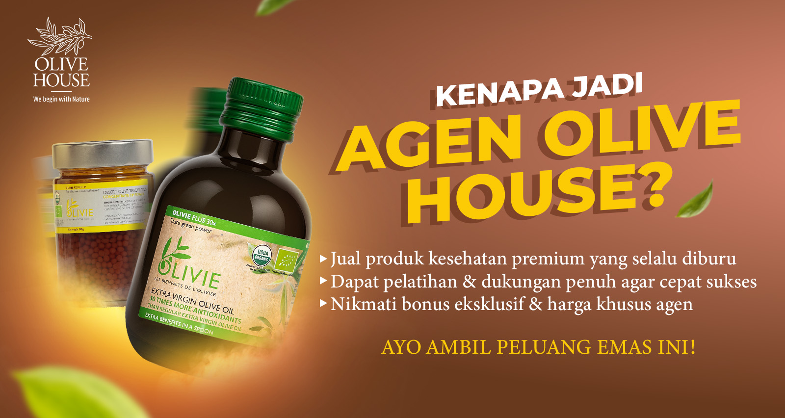 Daftar Agen - Olive House